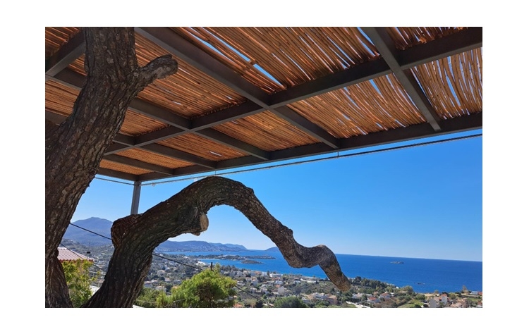 ΞΥΛΙΝΗ ΒΕΡΓΑ ΛΕΠΤΟΚΑΡΥΑΣ ΑΠΟΦΛΟΙΩΜΕΝΗ 14-28mm | Εcoshadow.gr