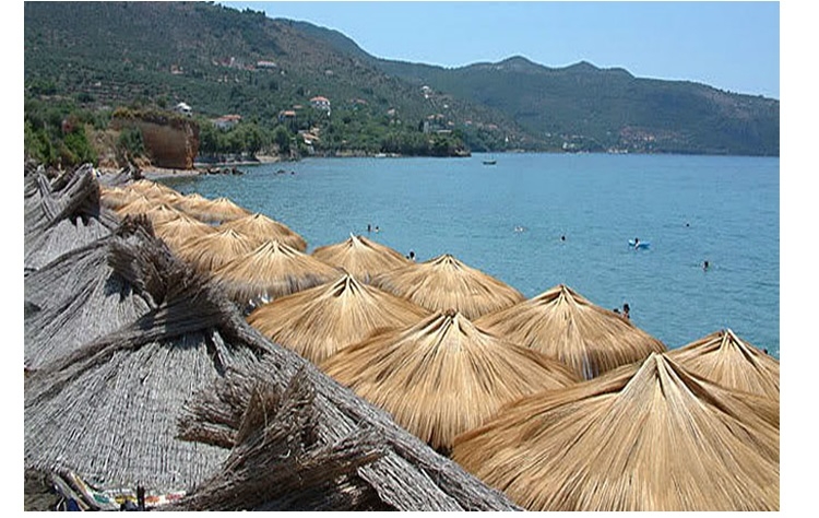 ΟΜΠΡΕΛΑ ΠΑΡΑΛΙΑΣ SABA ΜΕ ΑΚΡΟΚΛΑΔΑ FERN | Εcoshadow.gr