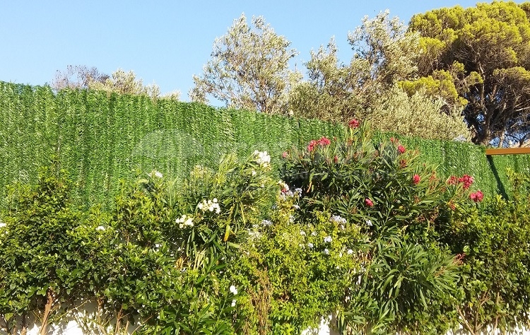 ΦΥΛΛΩΣΙΑ ΡΟΛΟ ΘΑΜΝΟΣ ΚΑΛΛΩΠΙΣΤΙΚΟΣ | Εcoshadow.gr