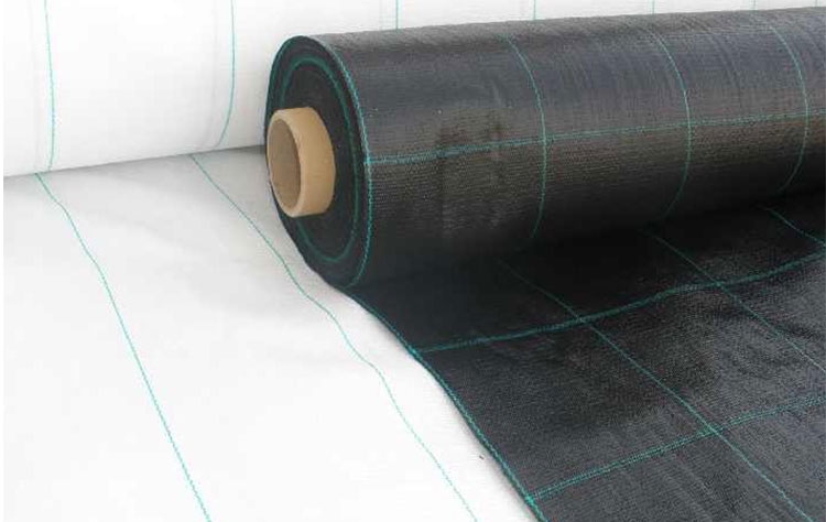 ΓΕΩΥΦΑΣΜΑ ΓΙΑ ΚΑΛΥΨΗ ΕΔΑΦΟΥΣ 90gr/m² | Εcoshadow.gr