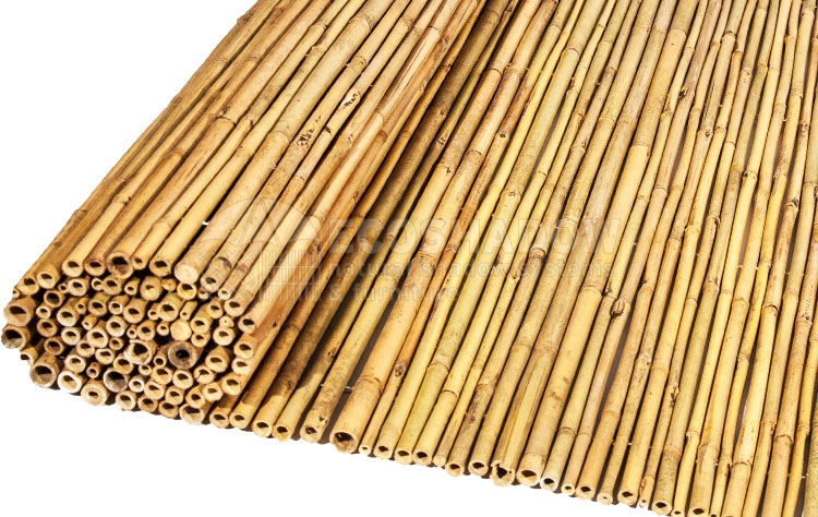 ΚΑΛΑΜΩΤΗ BAMBOO TONKIN O14-20mm ΜΕ ΕΣΩΤΕΡΙΚΟ ΣΥΡΜΑ ΓΑΛΒΑΝΙΖΕ | Εcoshadow.gr